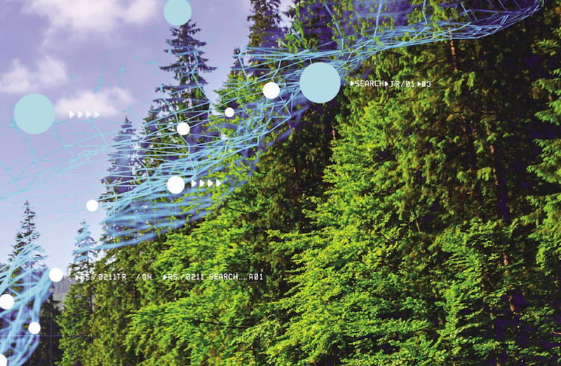 I Big Data salveranno le nostre foreste (forse) - I Love Parquet