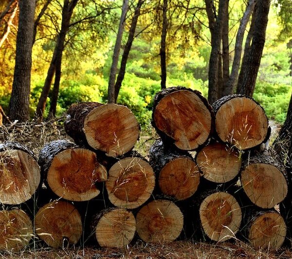 Alessandro Calcaterra Archivi - I Love Parquet